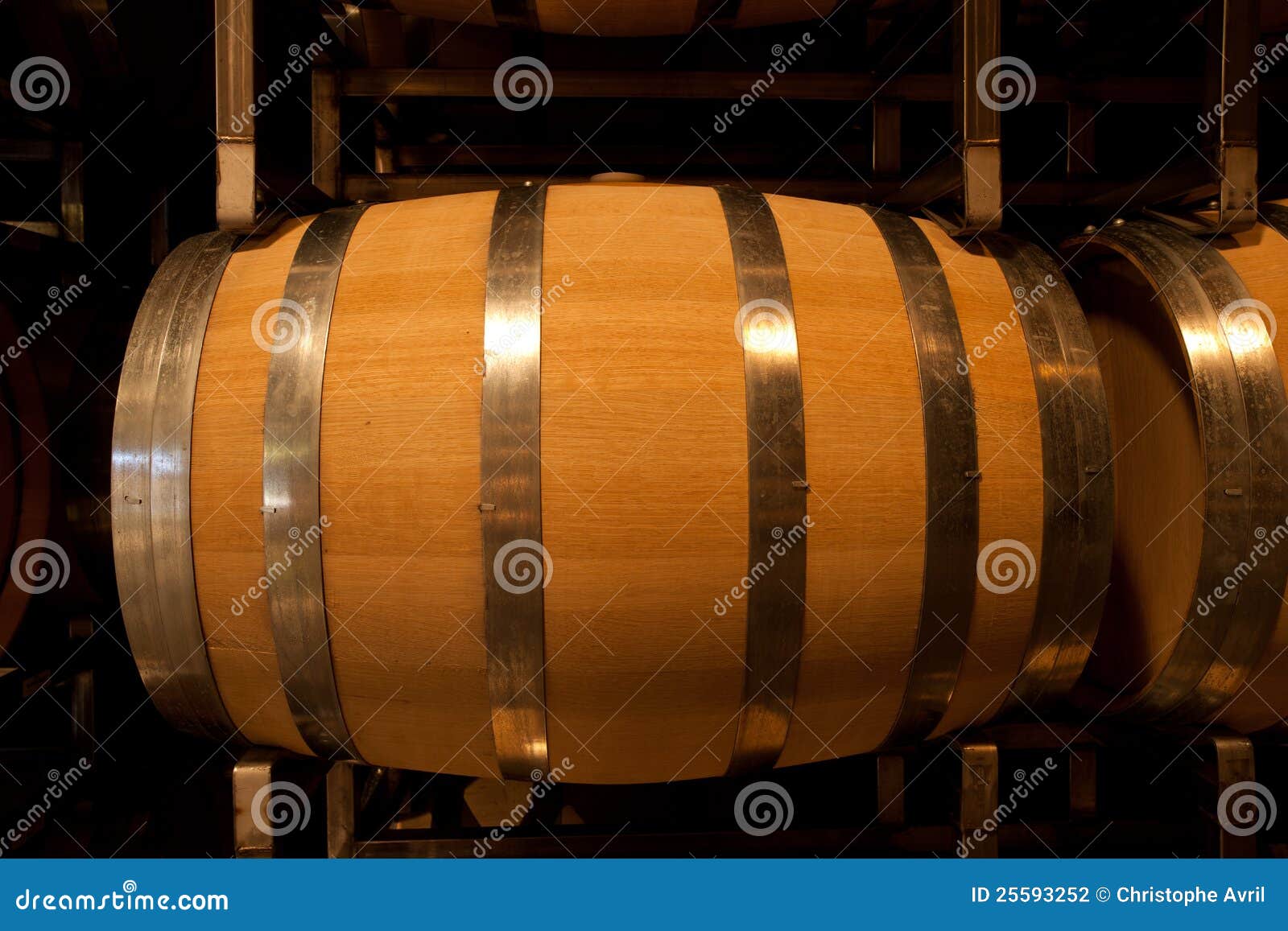 Wine Barrel in Cellar stock photo. Image of storage, rows - 25593252