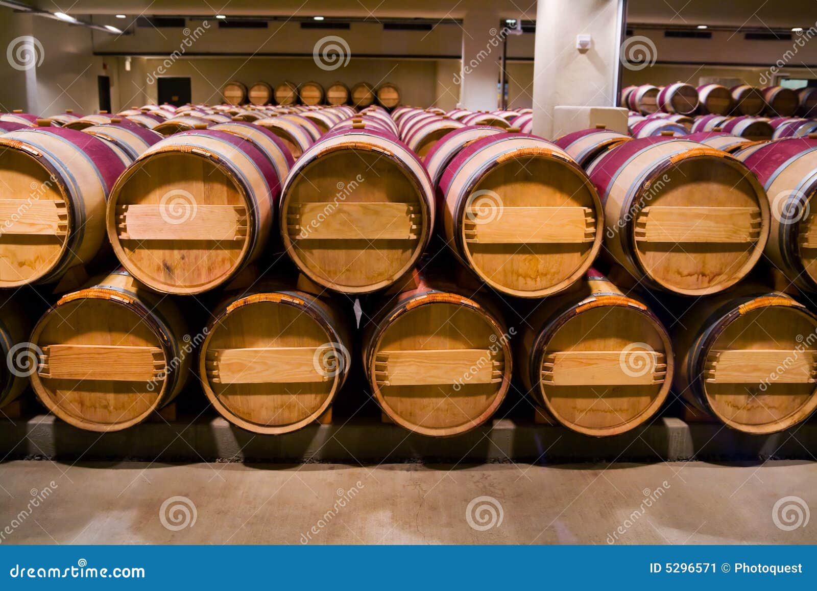 Wine barrels stock image. Image of america, valley, california - 5296571