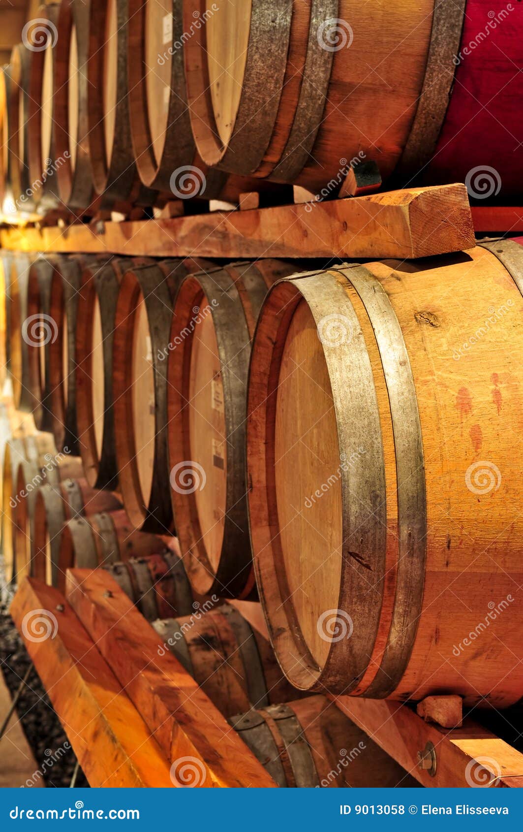 Wine barrels stock photo. Image of canada, kegs, piled - 9013058