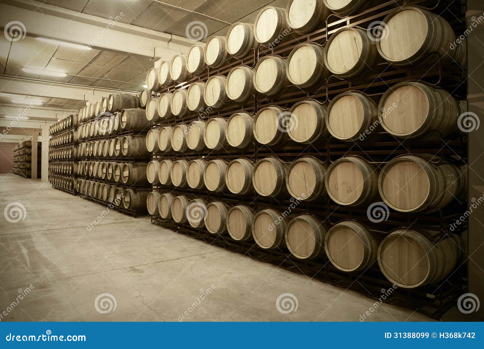 Wine Barrels in an Aging Cellar Stock Image - Image of winemaking ...