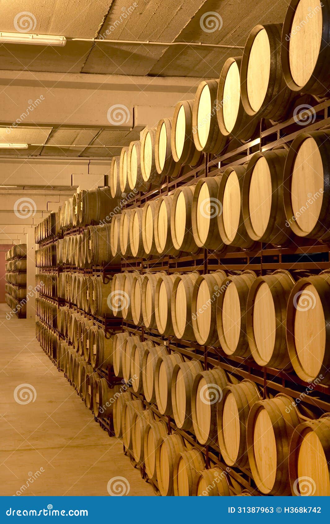 Wine Barrels in an Aging Cellar Stock Image - Image of fermenting ...