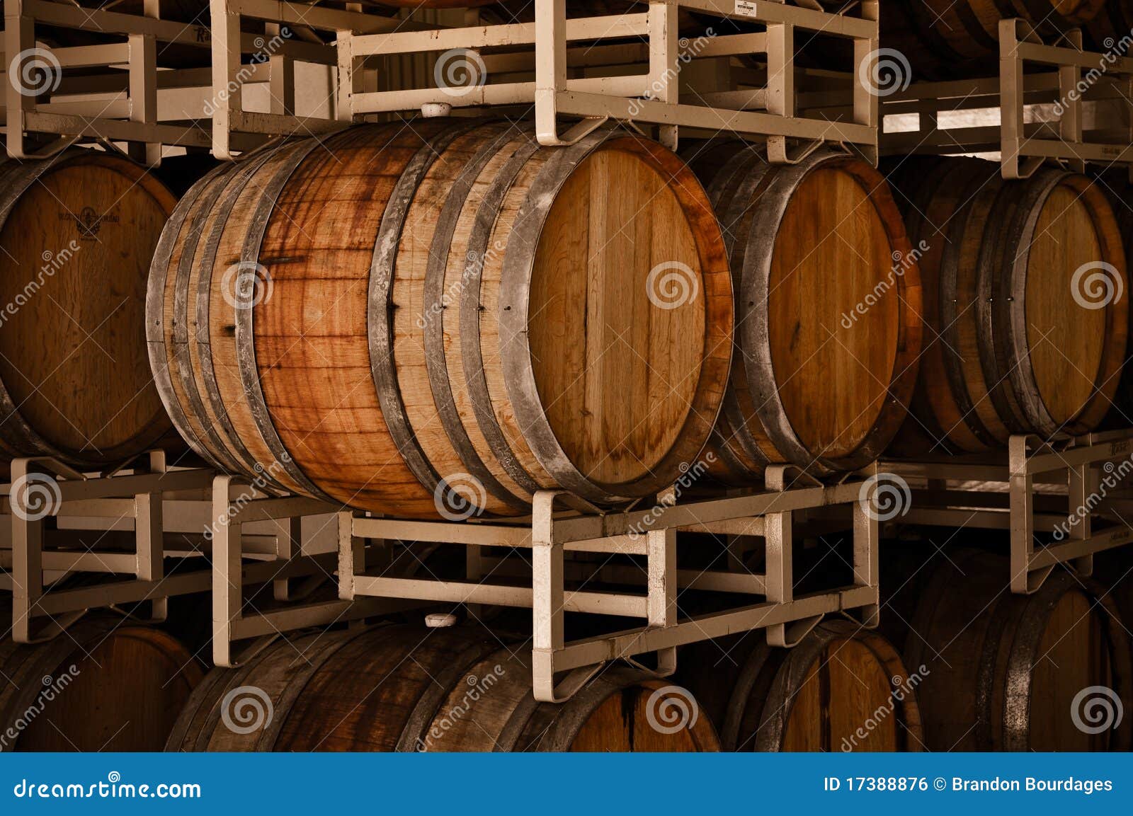 Wine Barrels in Cellar stock photo. Image of corks, choice - 17388876