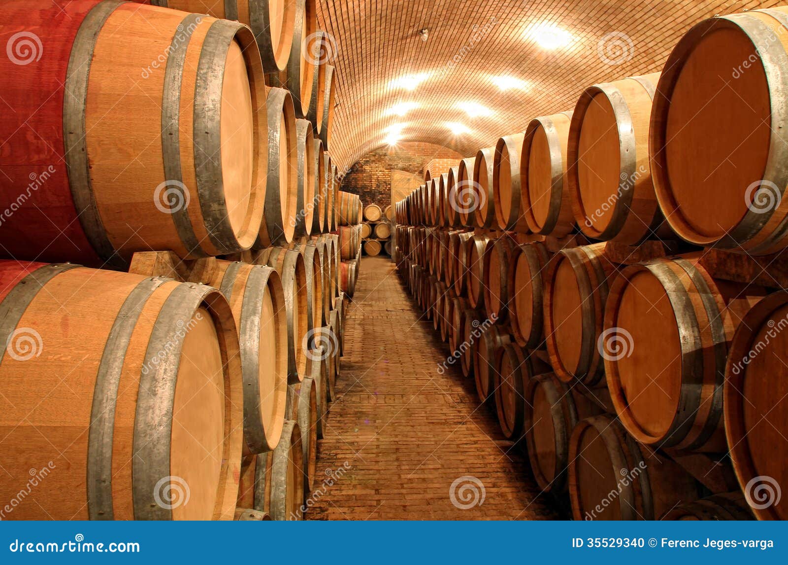 Wine barrels stock photo. Image of harvest, champagne - 35529340