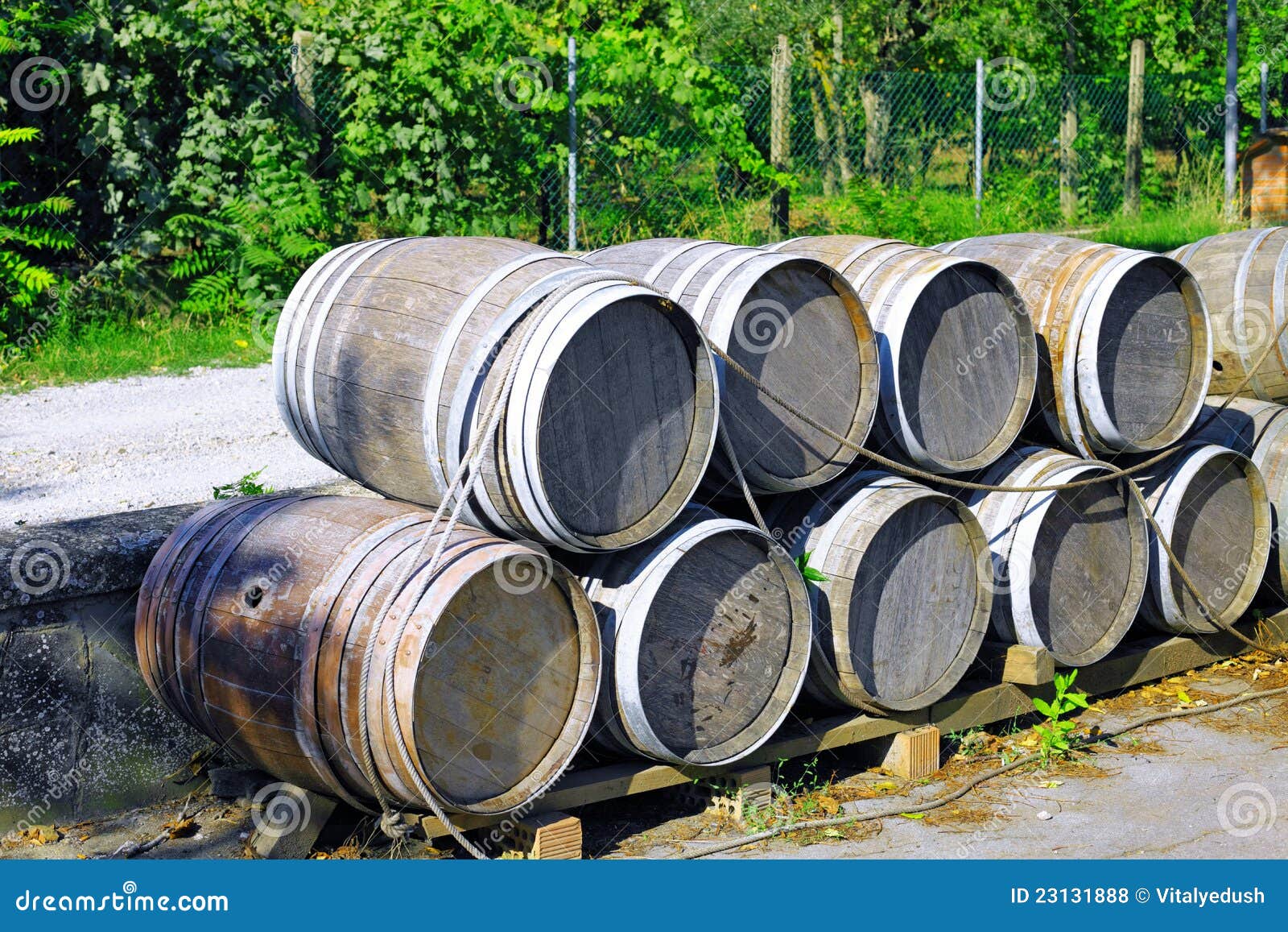 Wine Barrels Stacked. Italy Stock Photo - Image of cooper, hogshead ...
