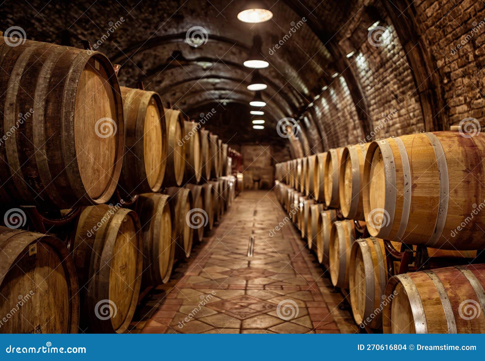 Wine Barrels in Wine-vaults Stock Photo - Image of brandy, cognac ...