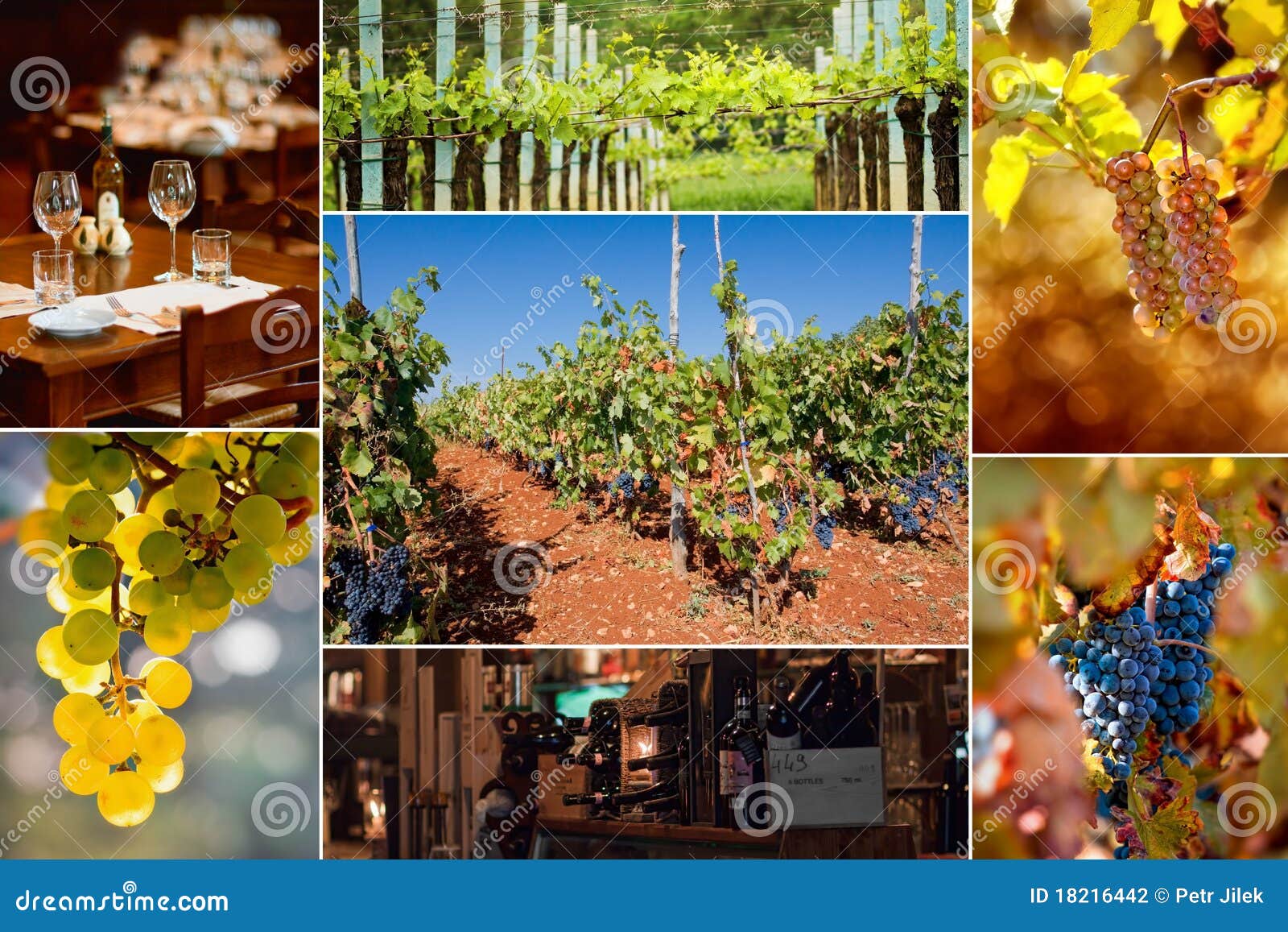 Wine.Beautiful Grapes Collage Stock Photo - Image of leaves, liquid ...