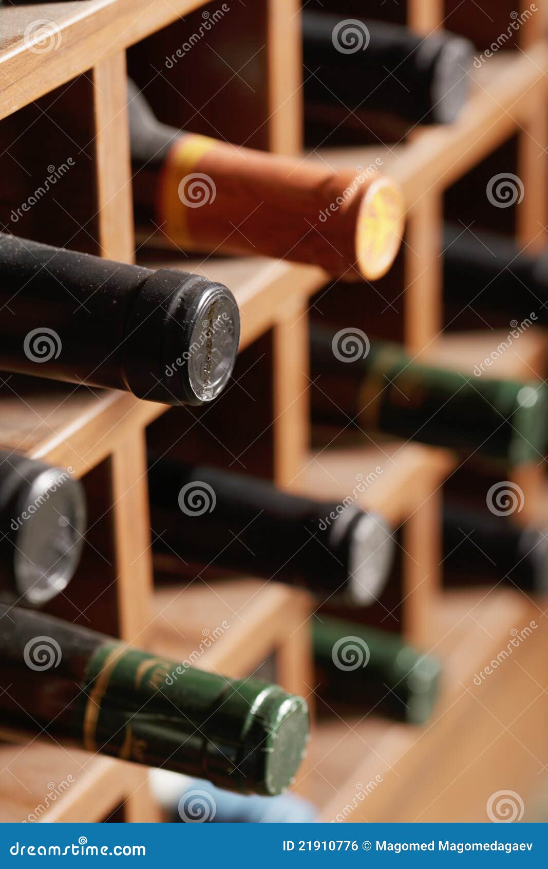 Wine bottles stock photo. Image of cells, rusty, life - 21910776