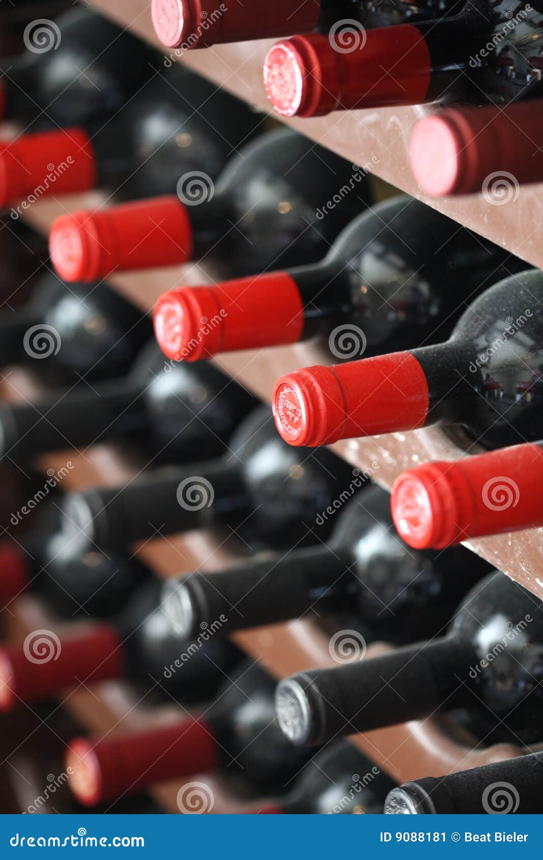 Wine bottles stock image. Image of bottle, restaurant - 9088181