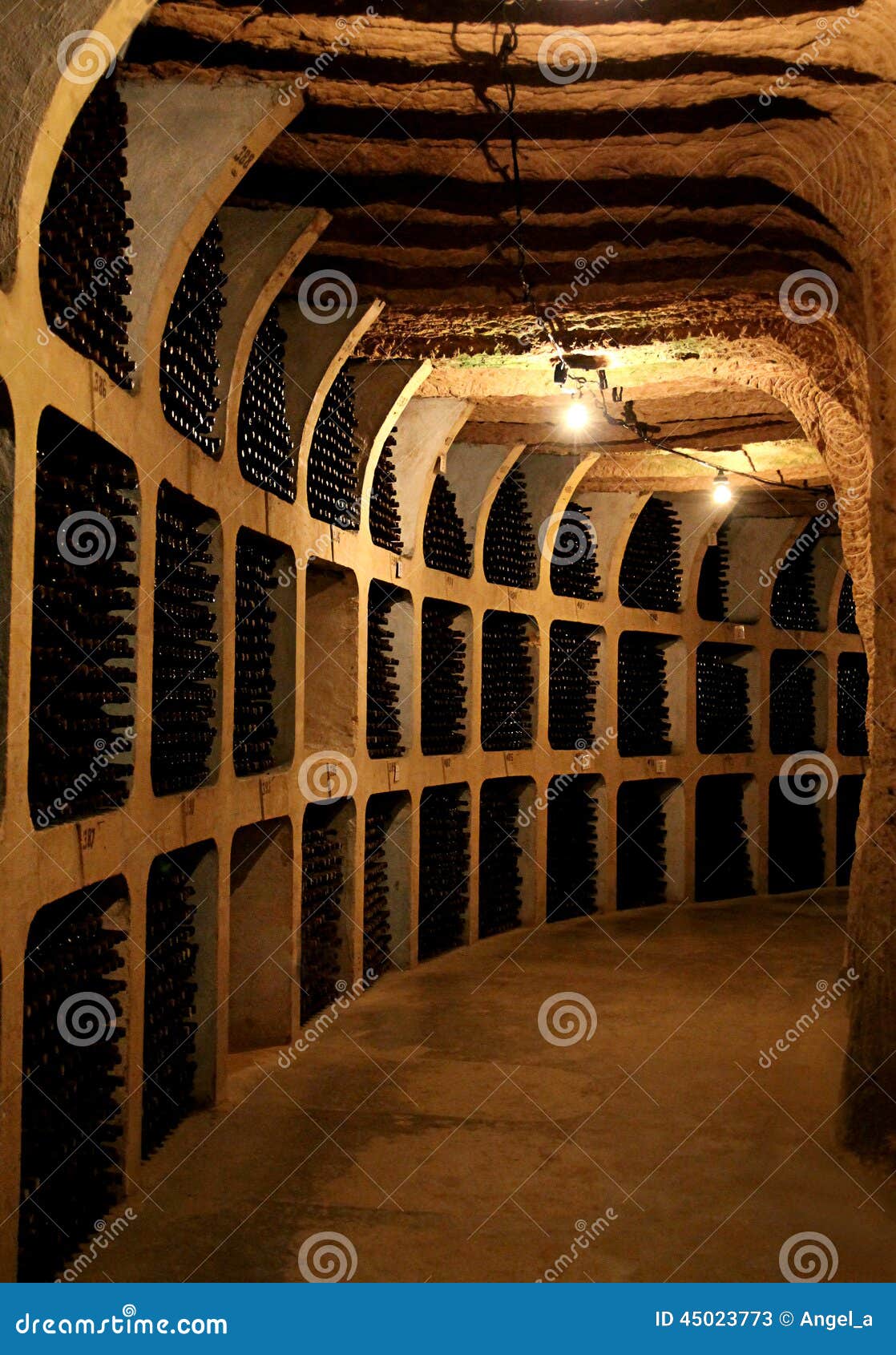 Wine bottles in the cellar stock image. Image of history - 45023773