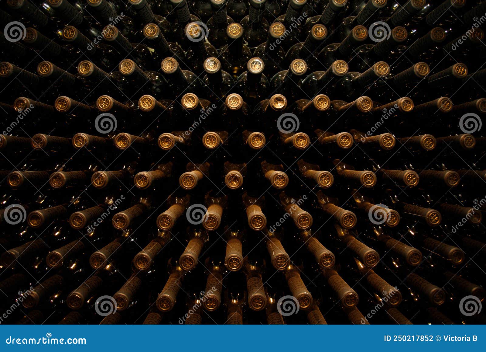 Wine Bottles Covered with Dust in the Wine Cellar. Neatly Aligned Rows ...