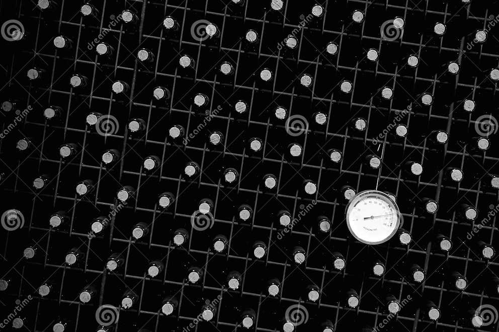 Wine bottles stock photo. Image of alcohol, underground - 31448916