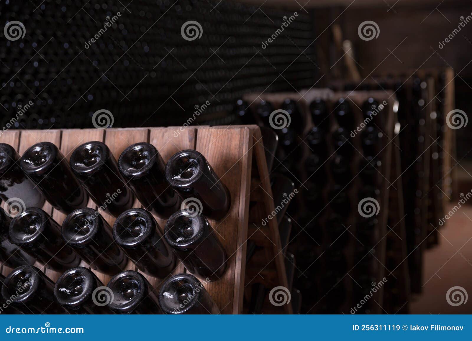 Wine Bottles on Racks in Wine Vault Stock Image - Image of excursion ...