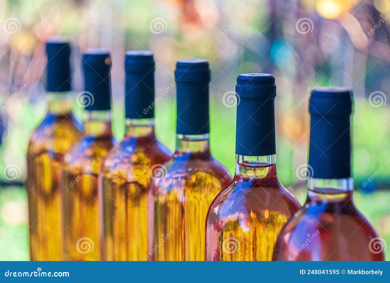 Wine Bottles in a Row. Cabernet Franc Rose Bottles of Wine in Rows in ...
