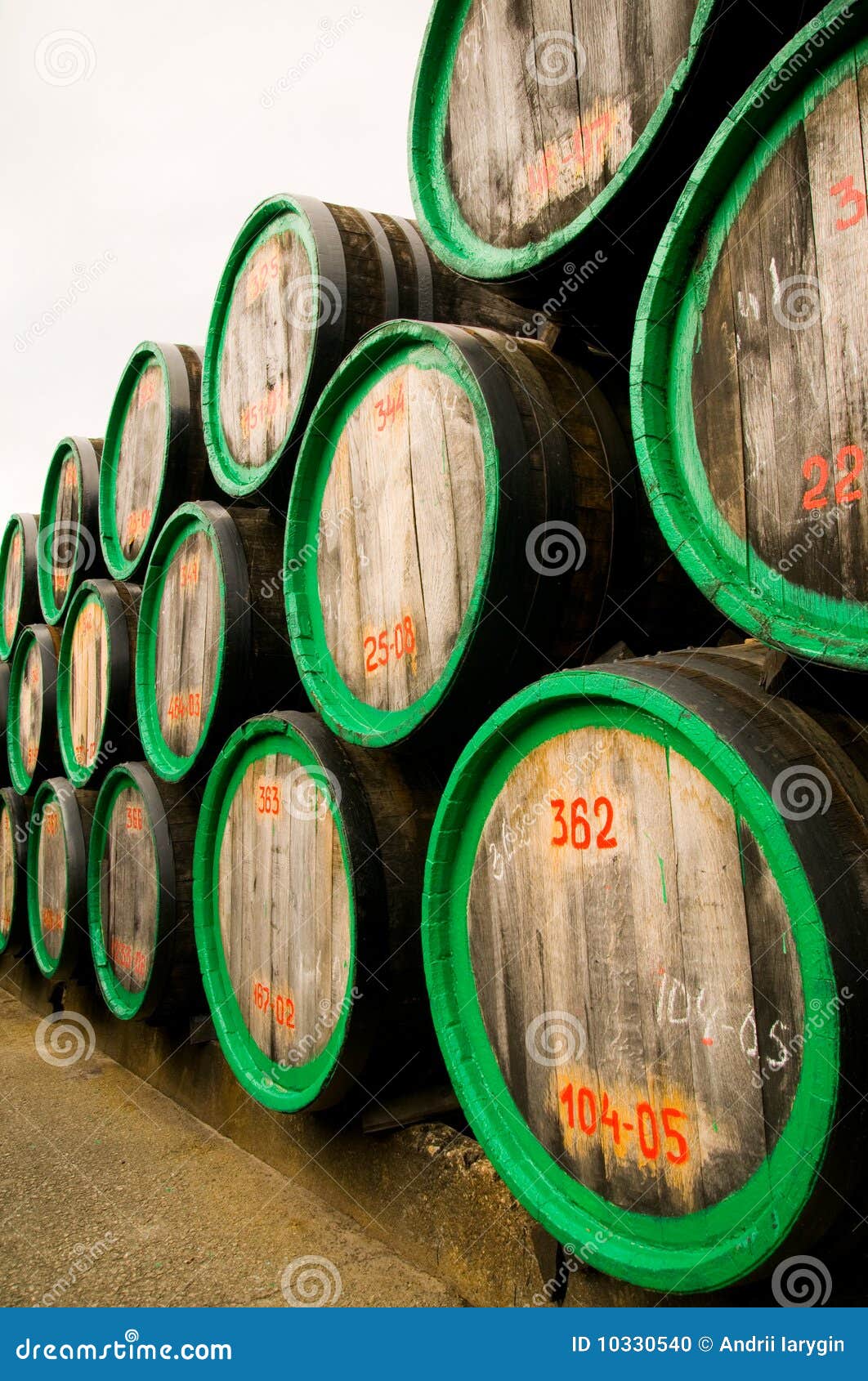 Wine casks stock photo. Image of wine, bottle, depository - 10330540