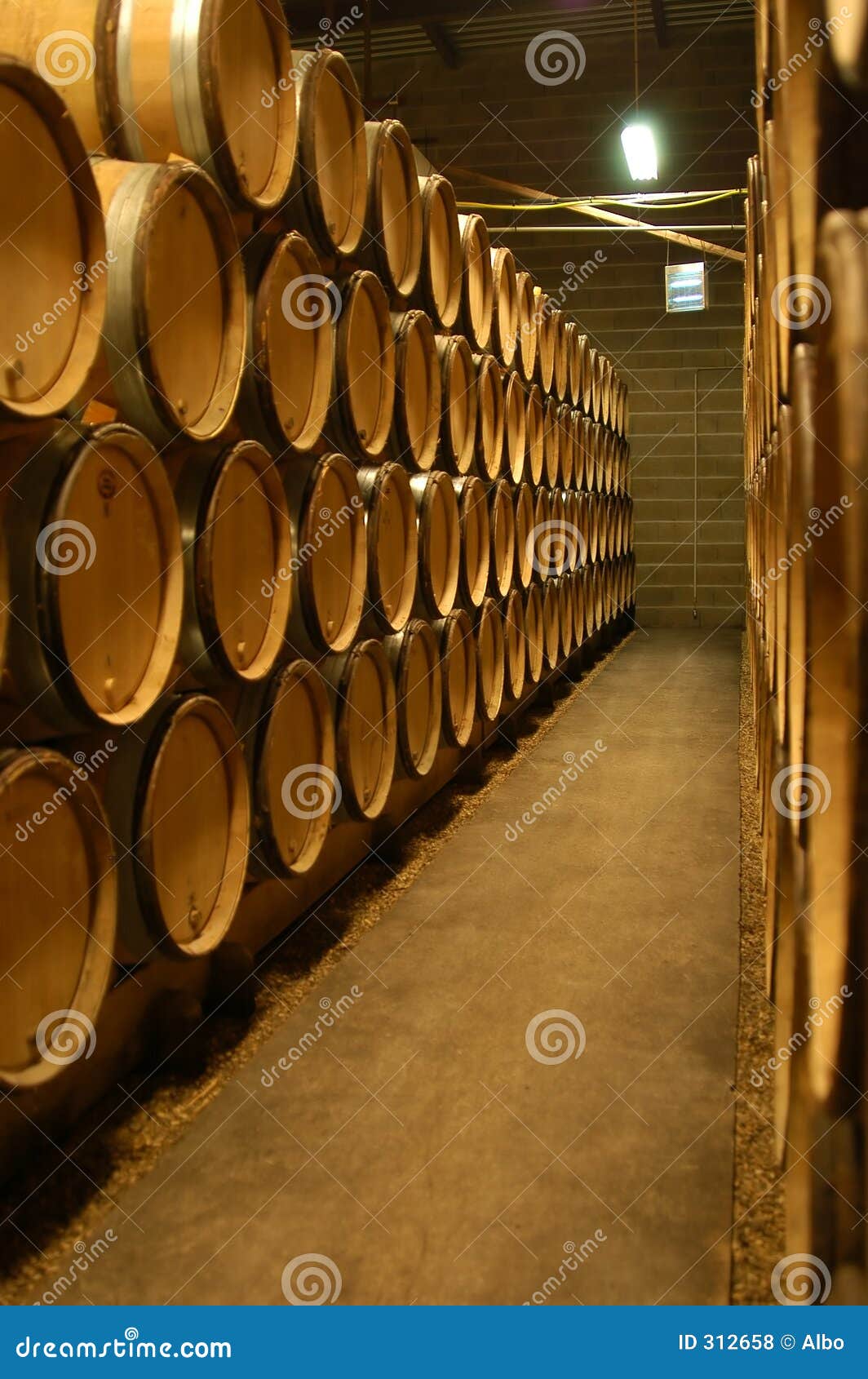 Wine cellar stock photo. Image of good, great, grape, wine - 312658