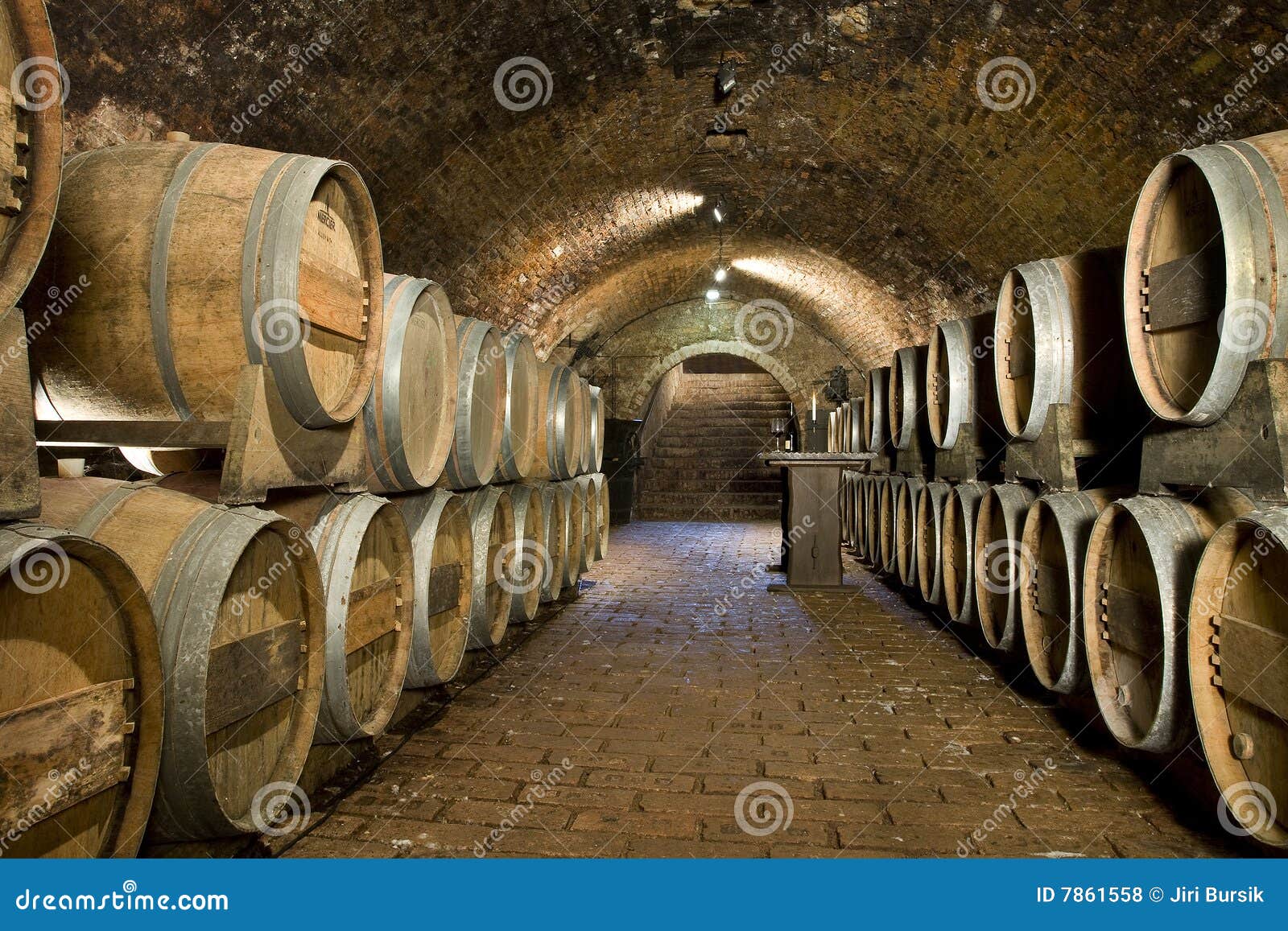 Wine cellar stock photo. Image of white, cask, production - 7861558