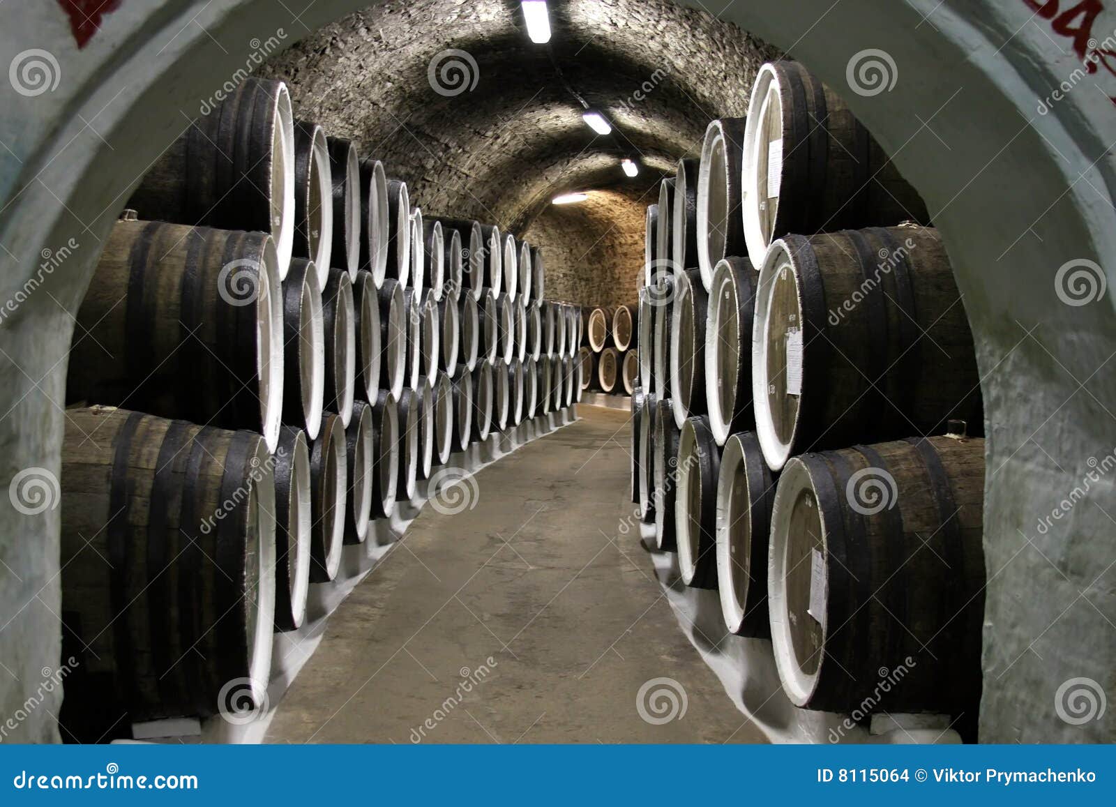 Wine cellar stock photo. Image of grape, store, cask, container - 8115064