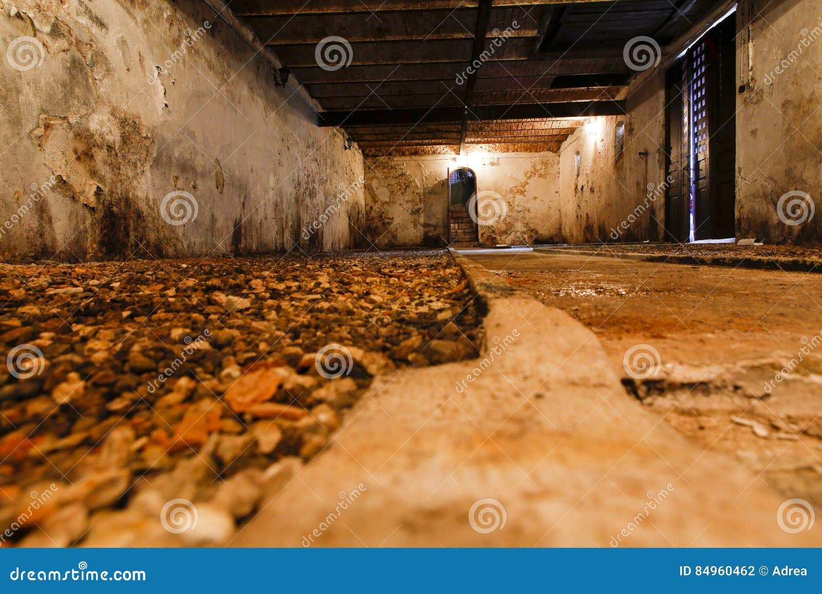 Empty wine barrels cellar stock photo. Image of cold - 84960462