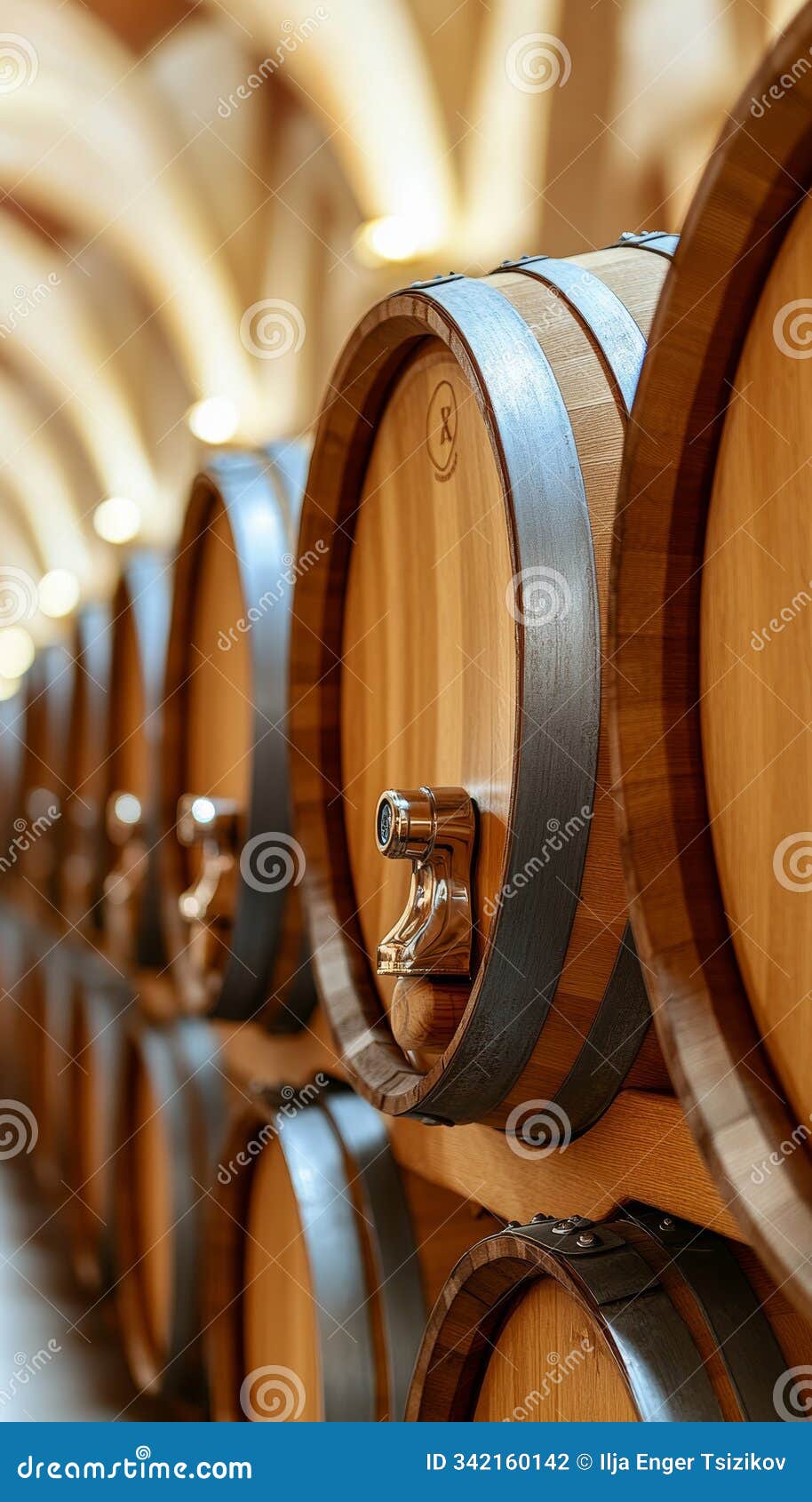 Wine Cellar Perspective Rows of Oak Barrels, Traditional Winemaking and ...