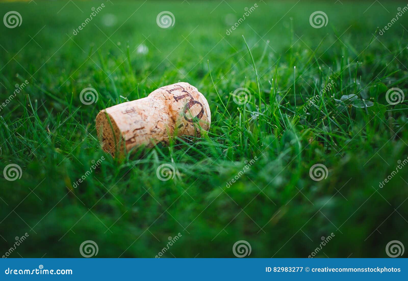 Wine Cork On Green Grass Picture. Image: 82983277