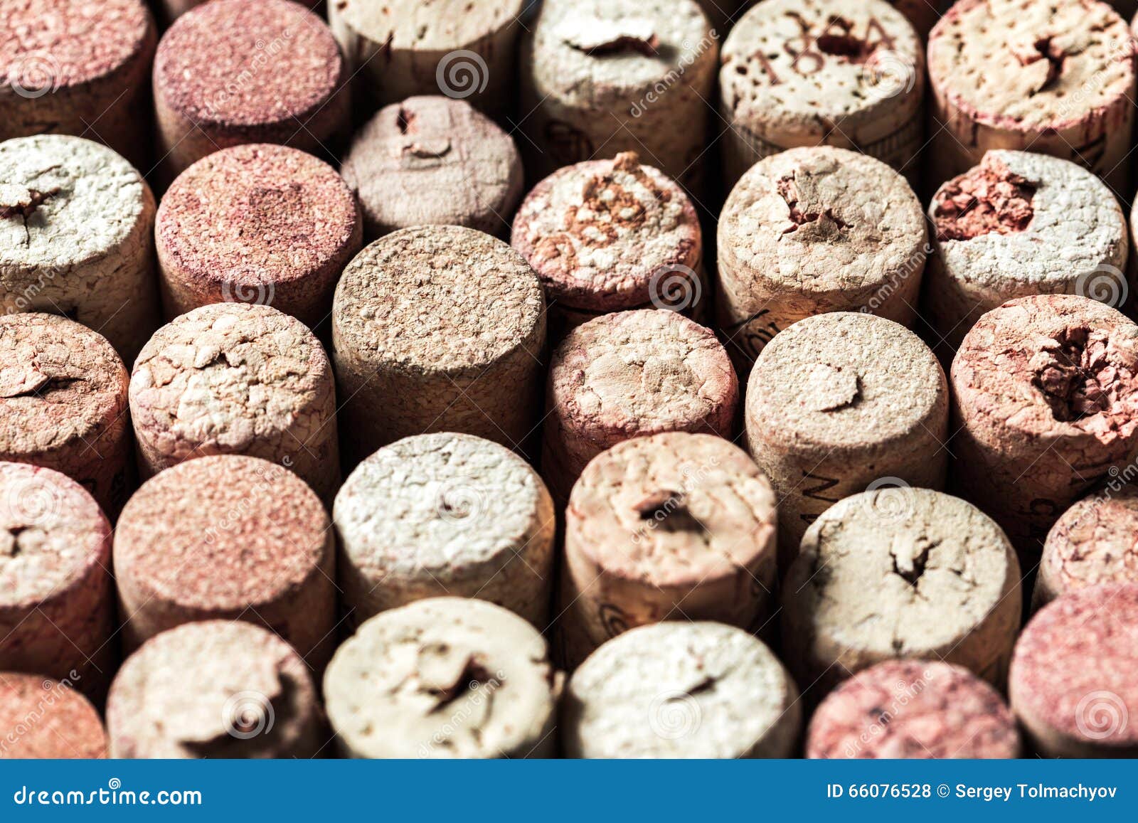 Wine corks stock photo. Image of wood, stack, person - 66076528