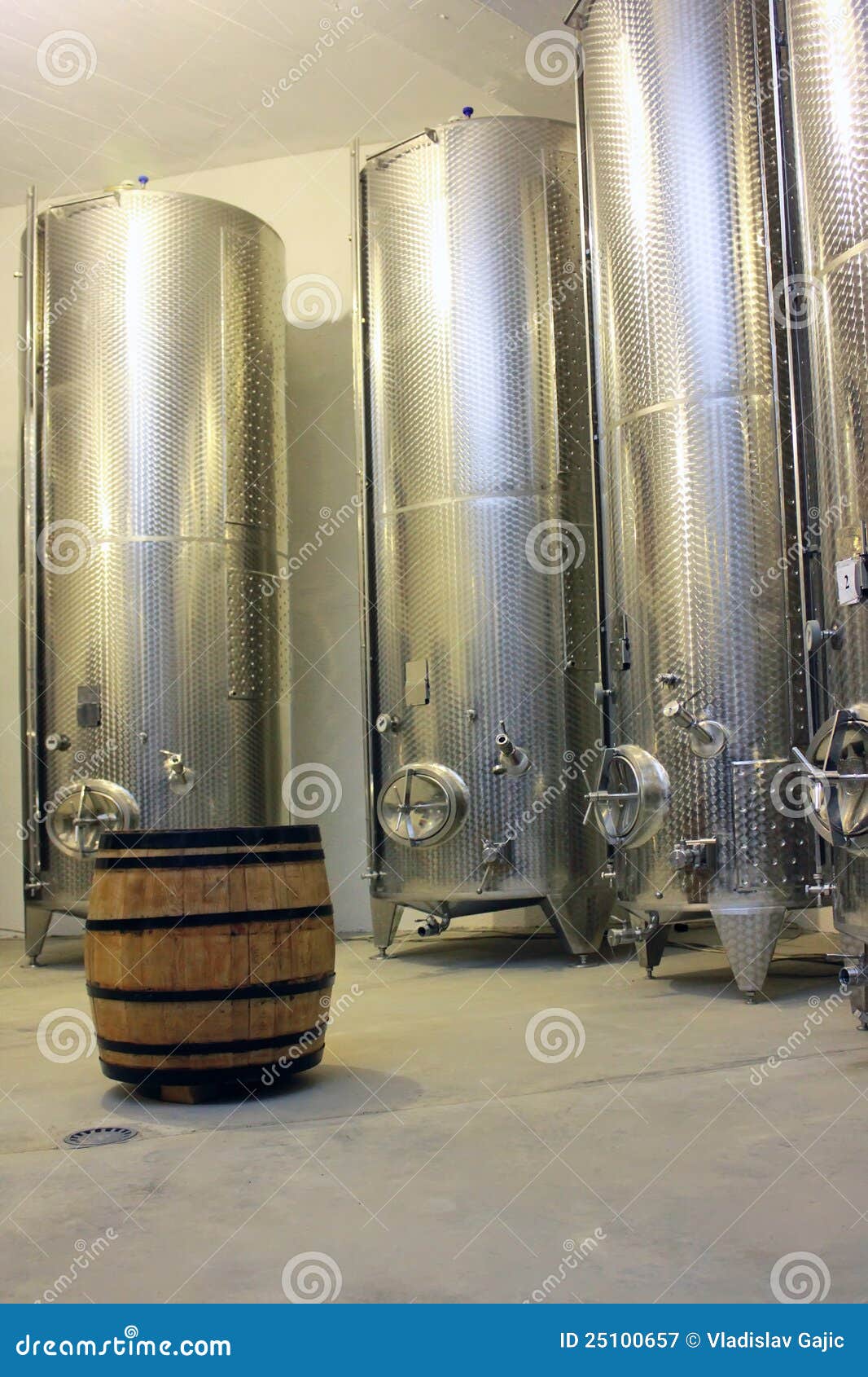 Wine factory stock image. Image of model, italian, agriculture - 25100657