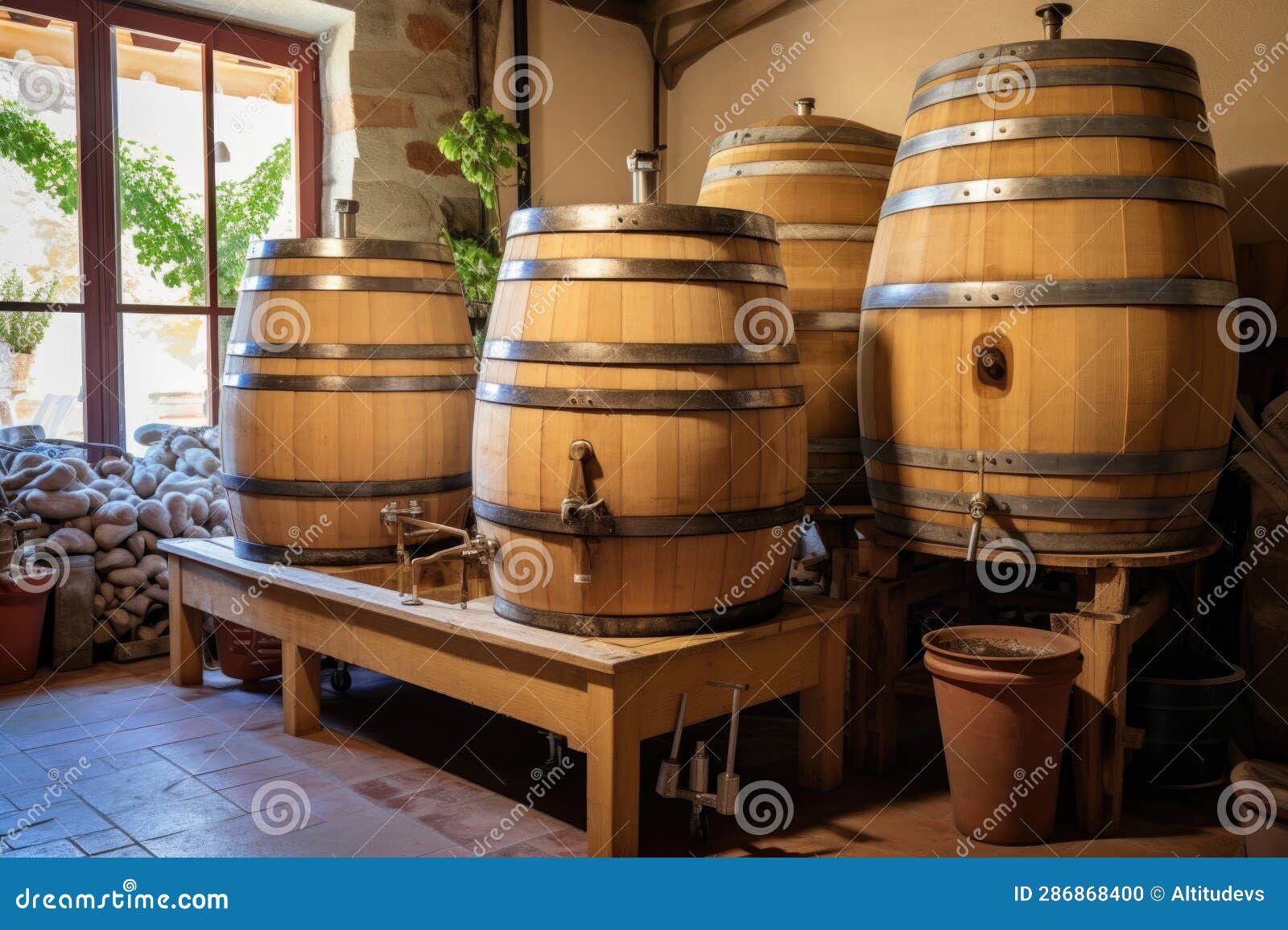 Wine Fermentation Process in Oak Barrels Stock Illustration ...