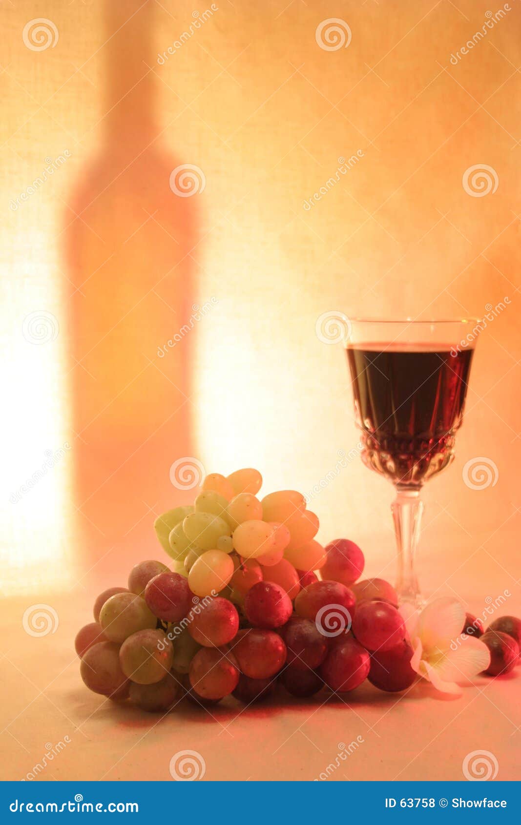 Wine, fruits macadamia stock photo. Image of silhouette - 63758