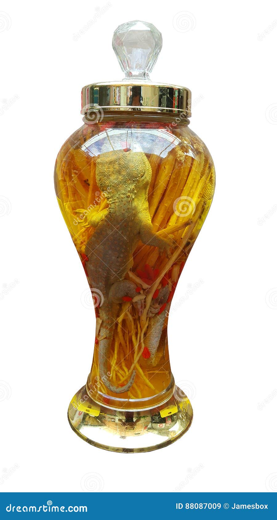 Toad Preserved In Formaldehyde In Glass Jar With Back Lighting ...