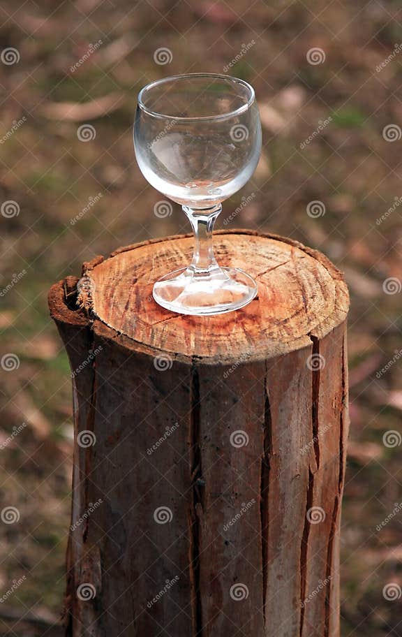 Wine glass on a log stock image. Image of rural, firewood - 27903453