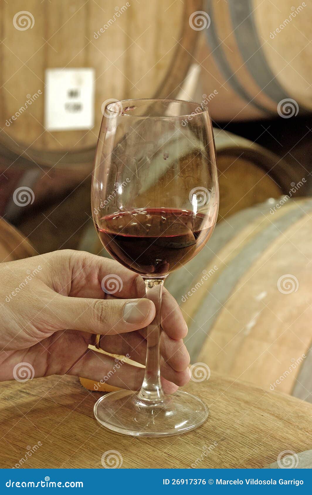 Wine glass and oak barrels stock photo. Image of wood - 26917376