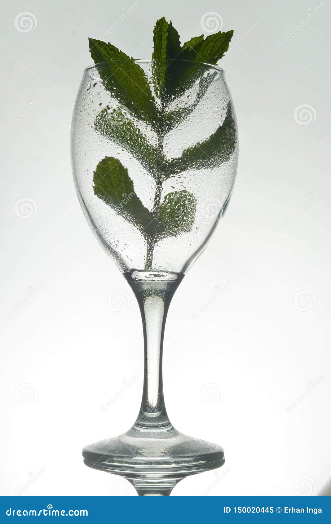 Wine Glass Silhouette with Mint Leaves, on a Light Background Stock ...