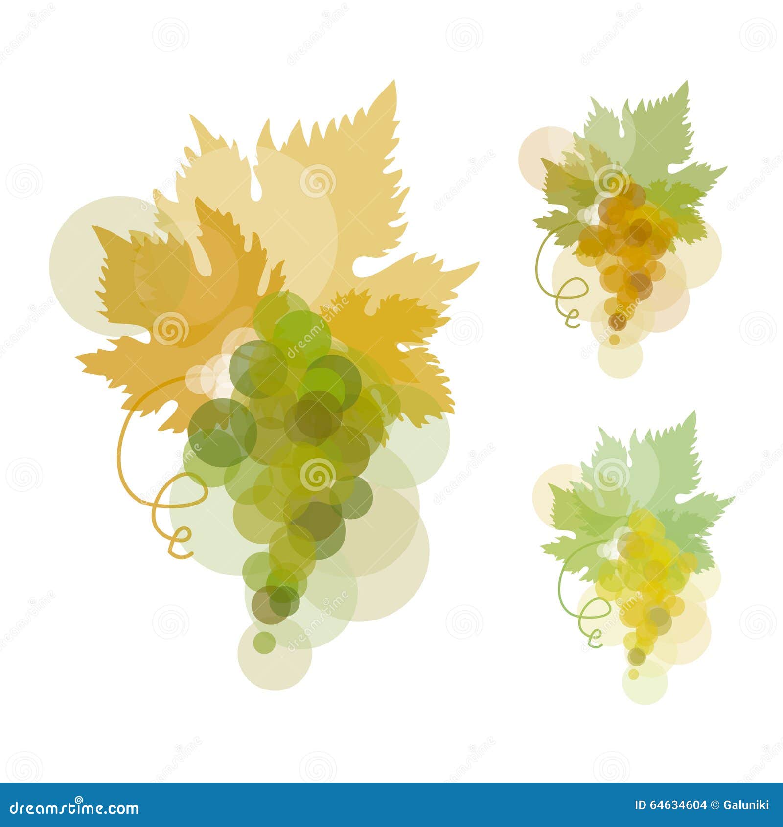 Wine grape stock vector. Illustration of purple, harvest - 64634604