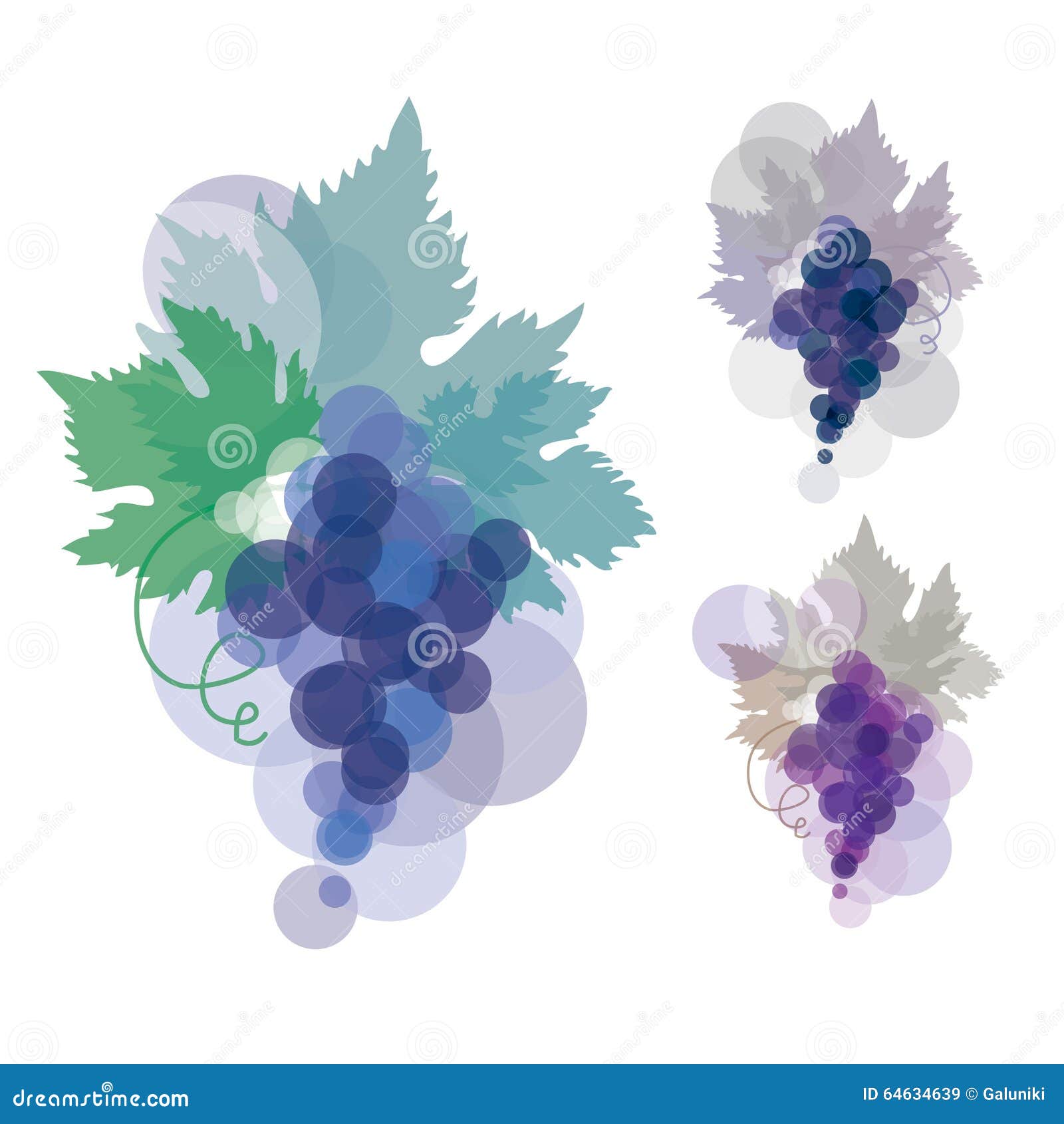 Wine grape stock vector. Illustration of natural, dark - 64634639