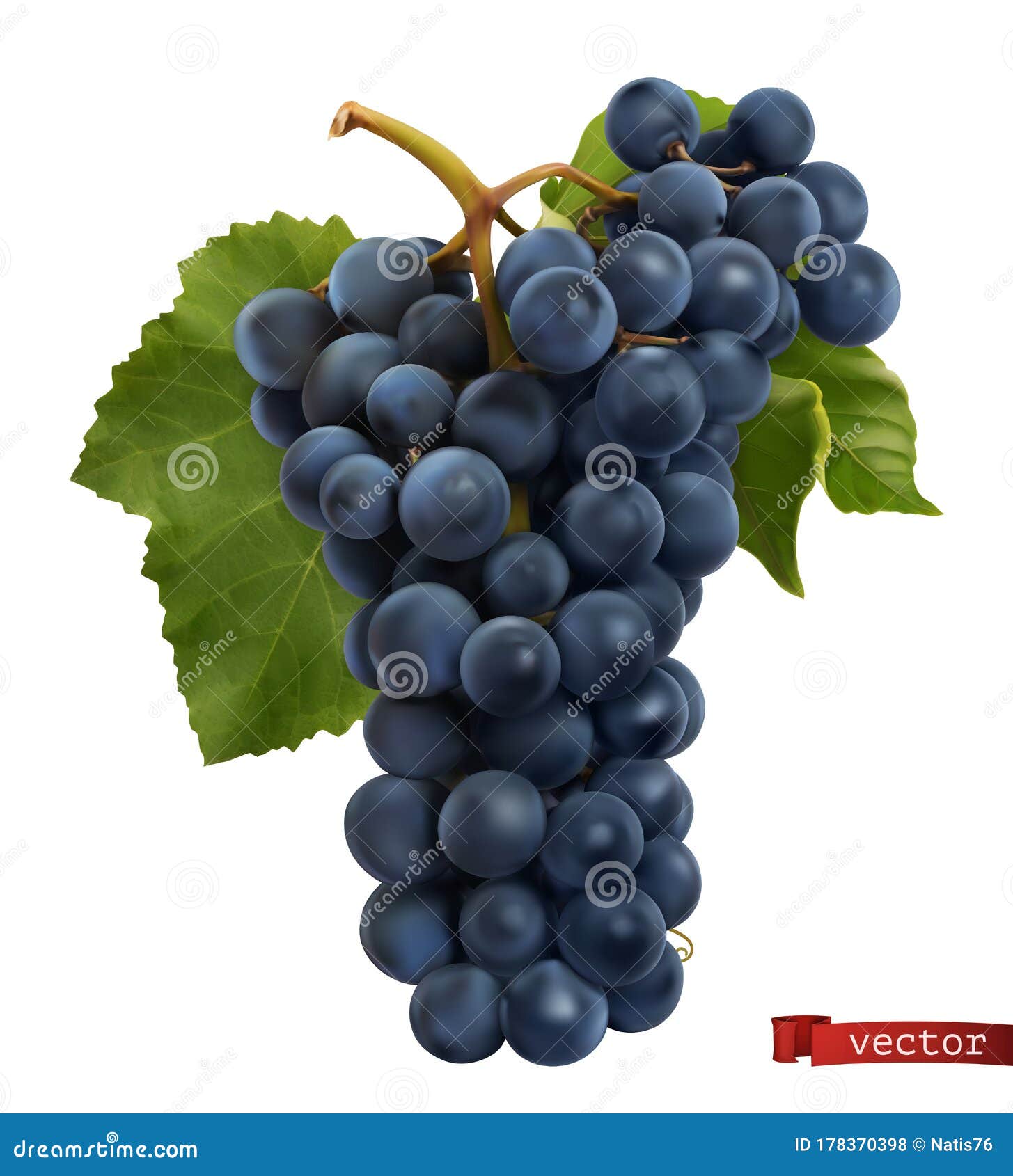 Wine Grapes. Fresh Fruit, 3d Realistic Vector Stock Vector ...