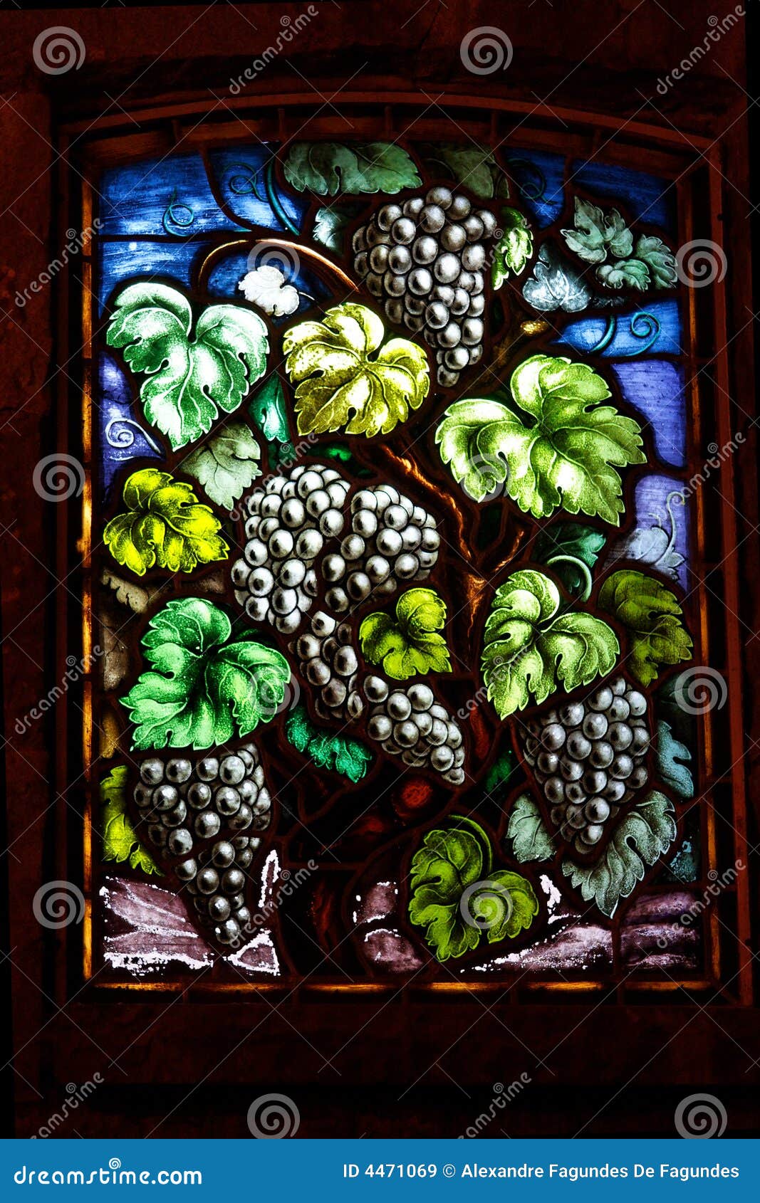 Wine Grapes Glass Window stock image. Image of window - 4471069