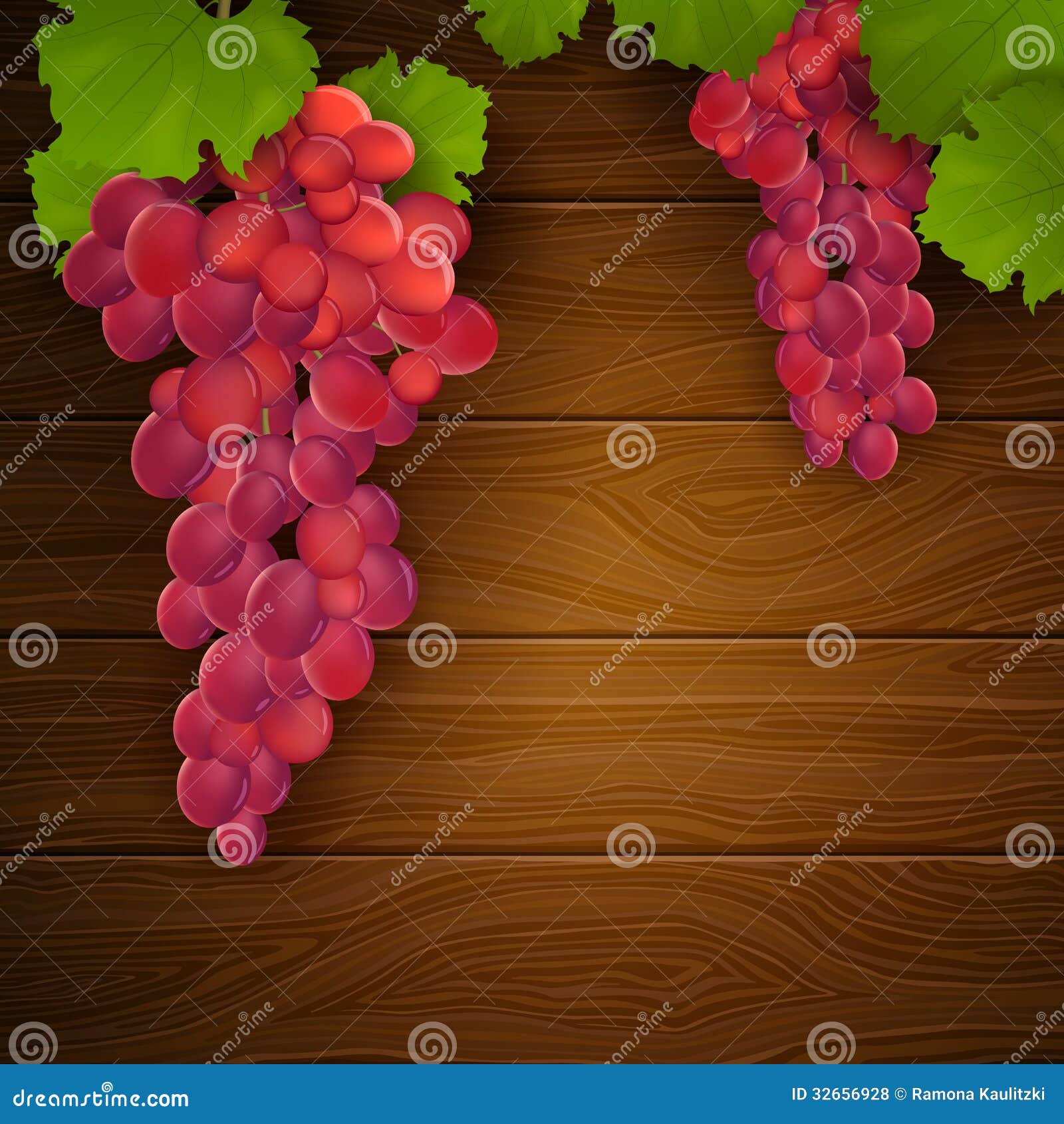 Wine Grapes stock illustration. Illustration of complete - 32656928