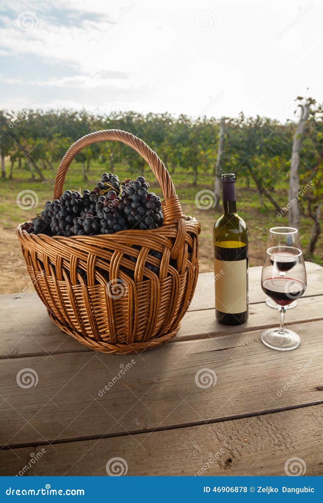 Wine and Grapes on Table in Vineyard Stock Photo - Image of rural ...