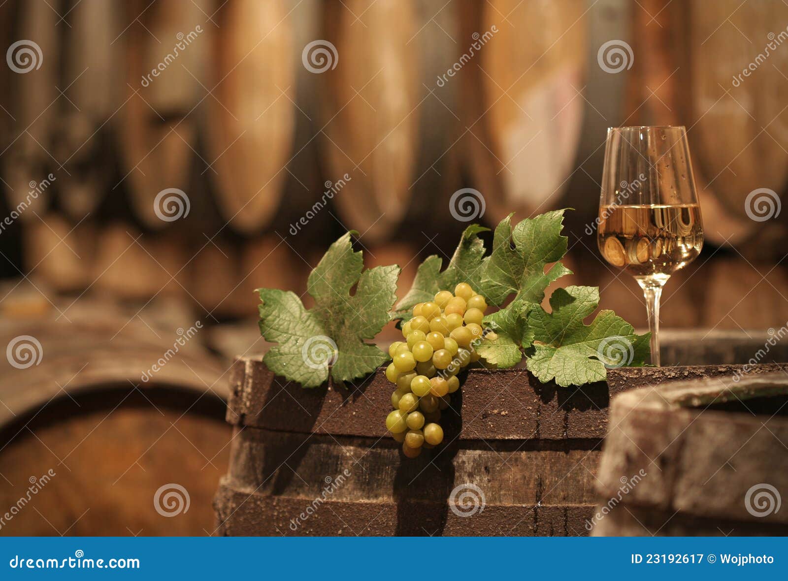 2,794 Wine Barrel Grapes Cellar Stock Photos - Free & Royalty-Free ...