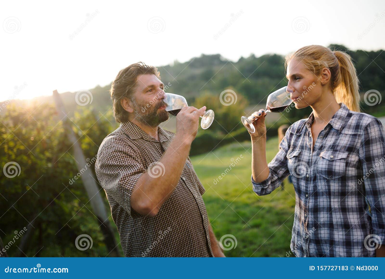 Wine Growers Tasting Nice Wine in Vineyard Stock Image - Image of ...