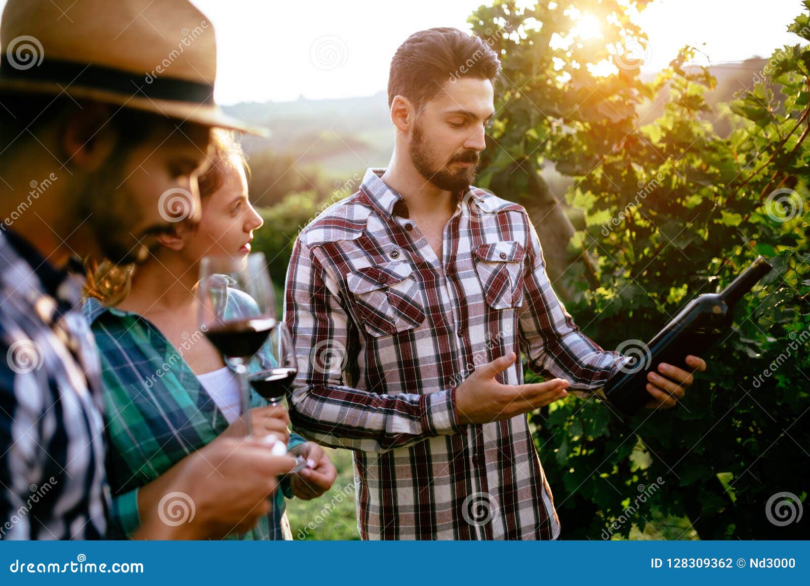 Wine Growers Tasting Wine in Vineyard Stock Photo - Image of outdoors ...