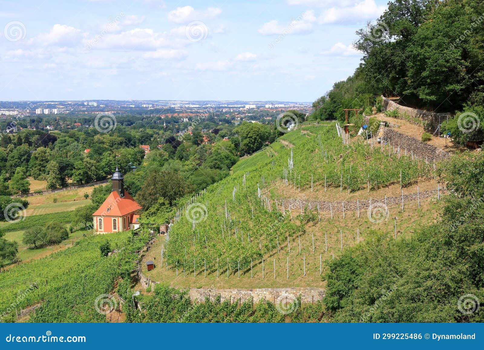 Wine Growing in Pillnitz at the Saxon Wine Route, Germany Stock Photo ...