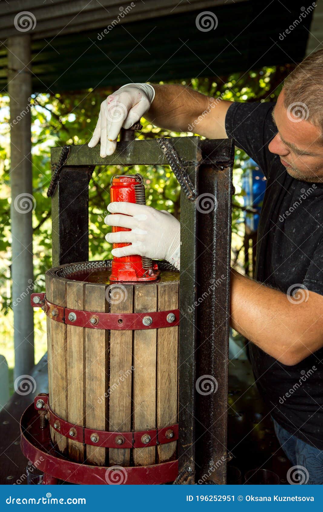 Wine Harvest. a Master Winemaker is Setting Up a Grape Press. Freshly ...