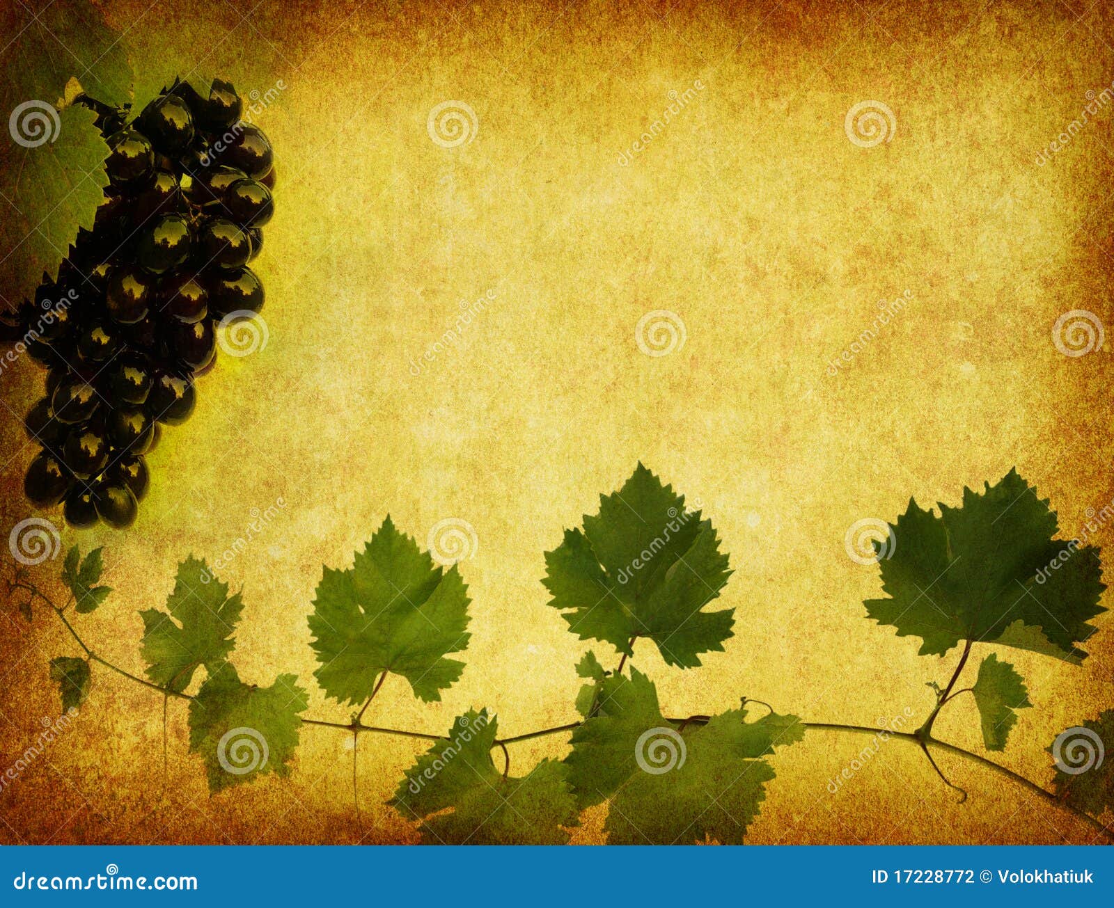 Wine label background stock photo. Image of parchment - 17228772