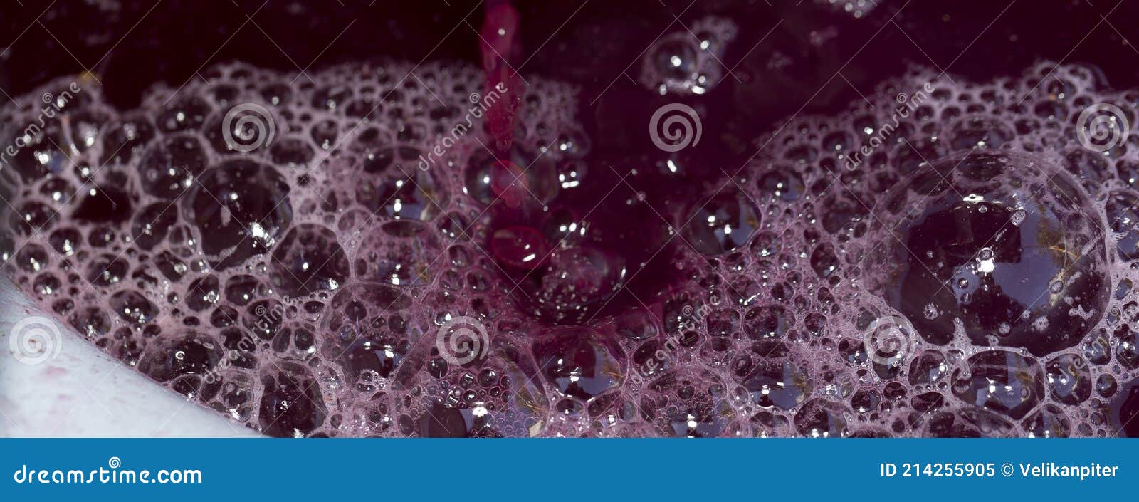 Fresh Grape Juice with Foam. Must Flows and is Collected in a Special ...