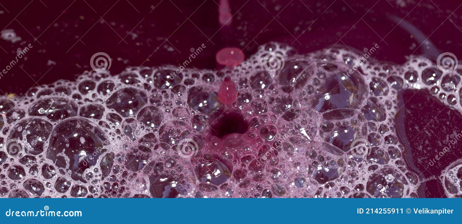 Fresh Grape Juice with Foam. Must Flows and is Collected in a Special ...