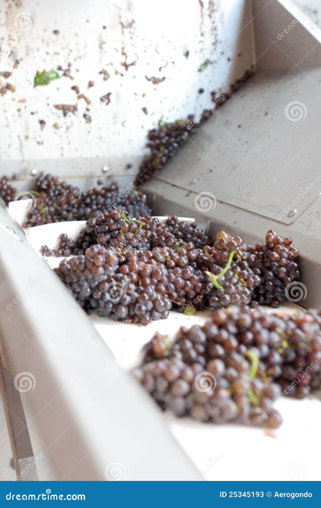 Wine making process stock image. Image of wine, white - 25345193