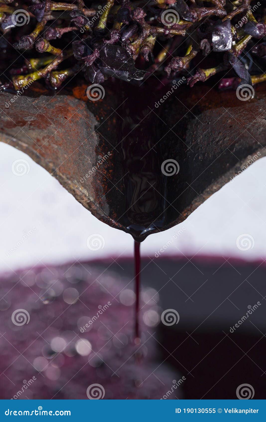 Wine Making. Technology of Wine Production in Moldova. the Ancient Folk ...