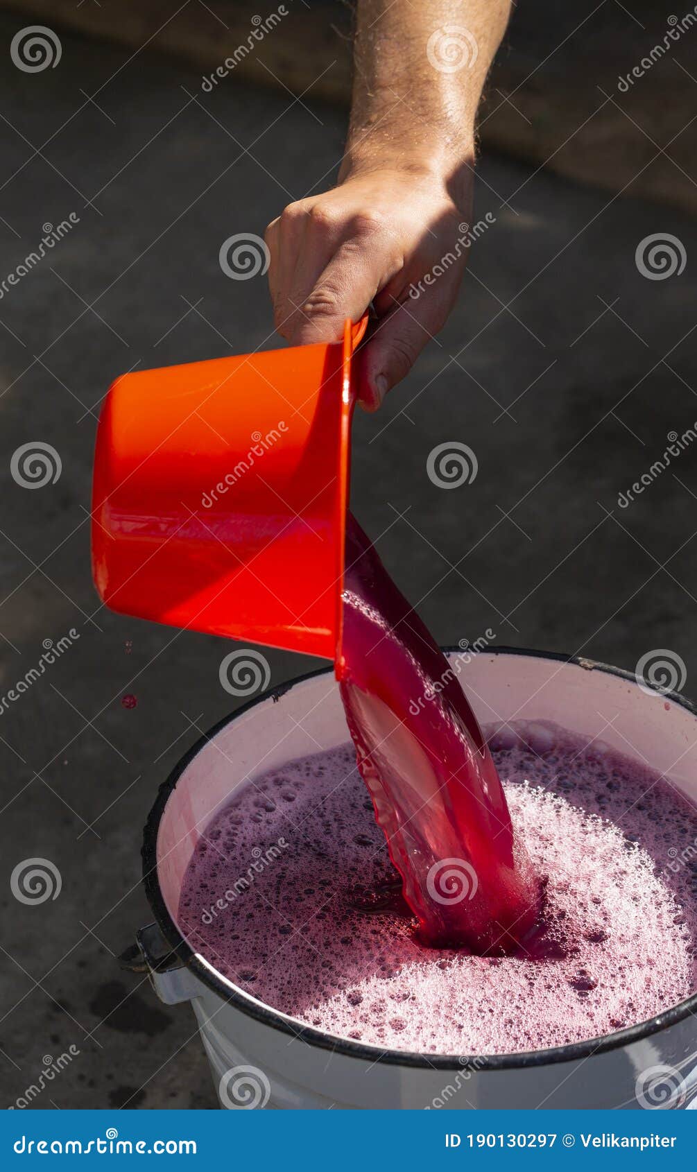 Wine Making. the Winemaker Extracts the Must from the Container for ...