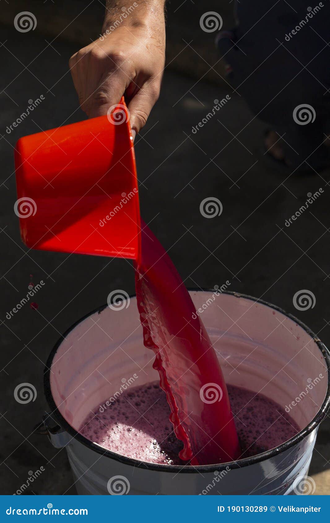 Wine Making. the Winemaker Extracts the Must from the Container for ...